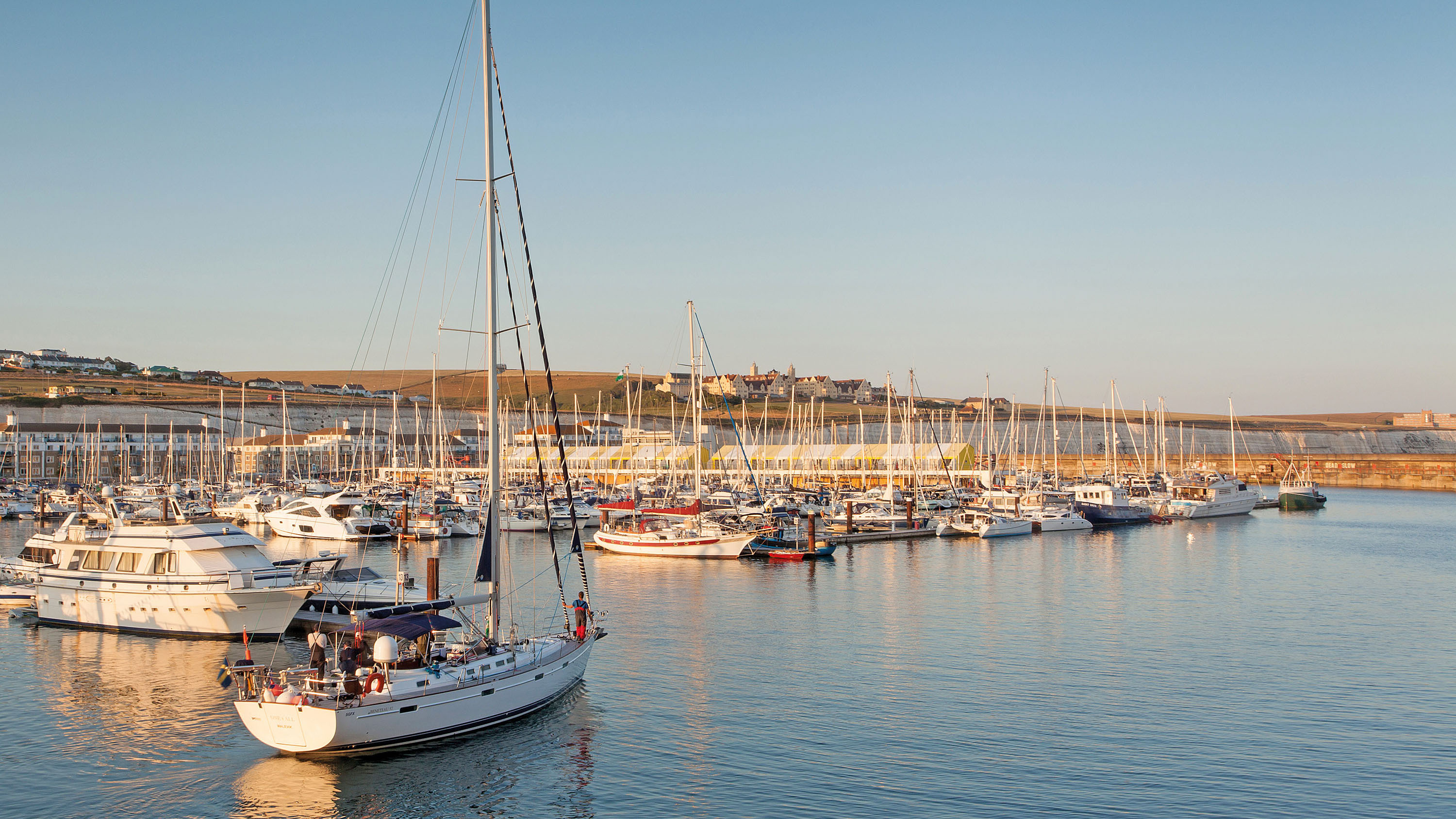 Are Dogs Allowed In Brighton Marina